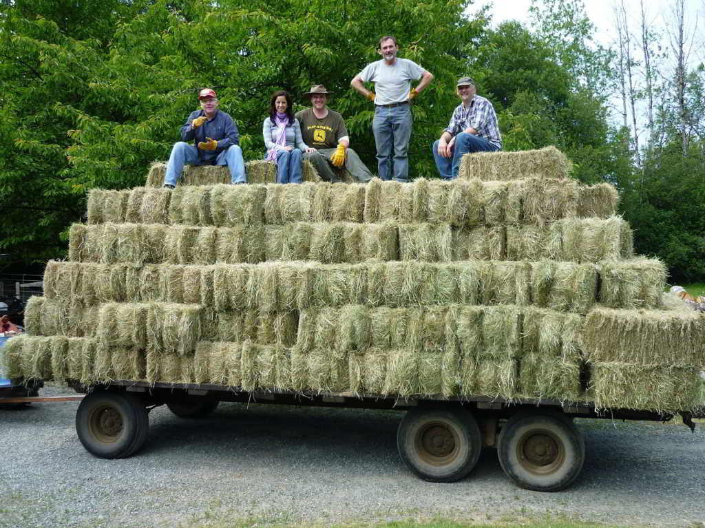 Windhorse Farm Apprenticeship - Vancouver Island - Young Agrarians