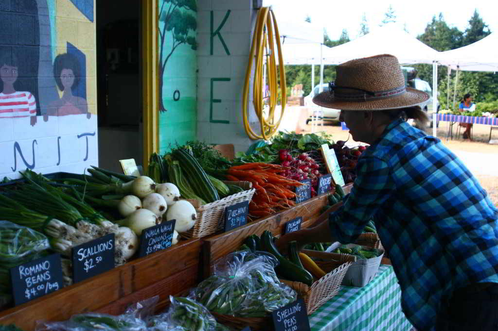 Job Posting: Operations Director, Centre for Sustainable Food Systems ...