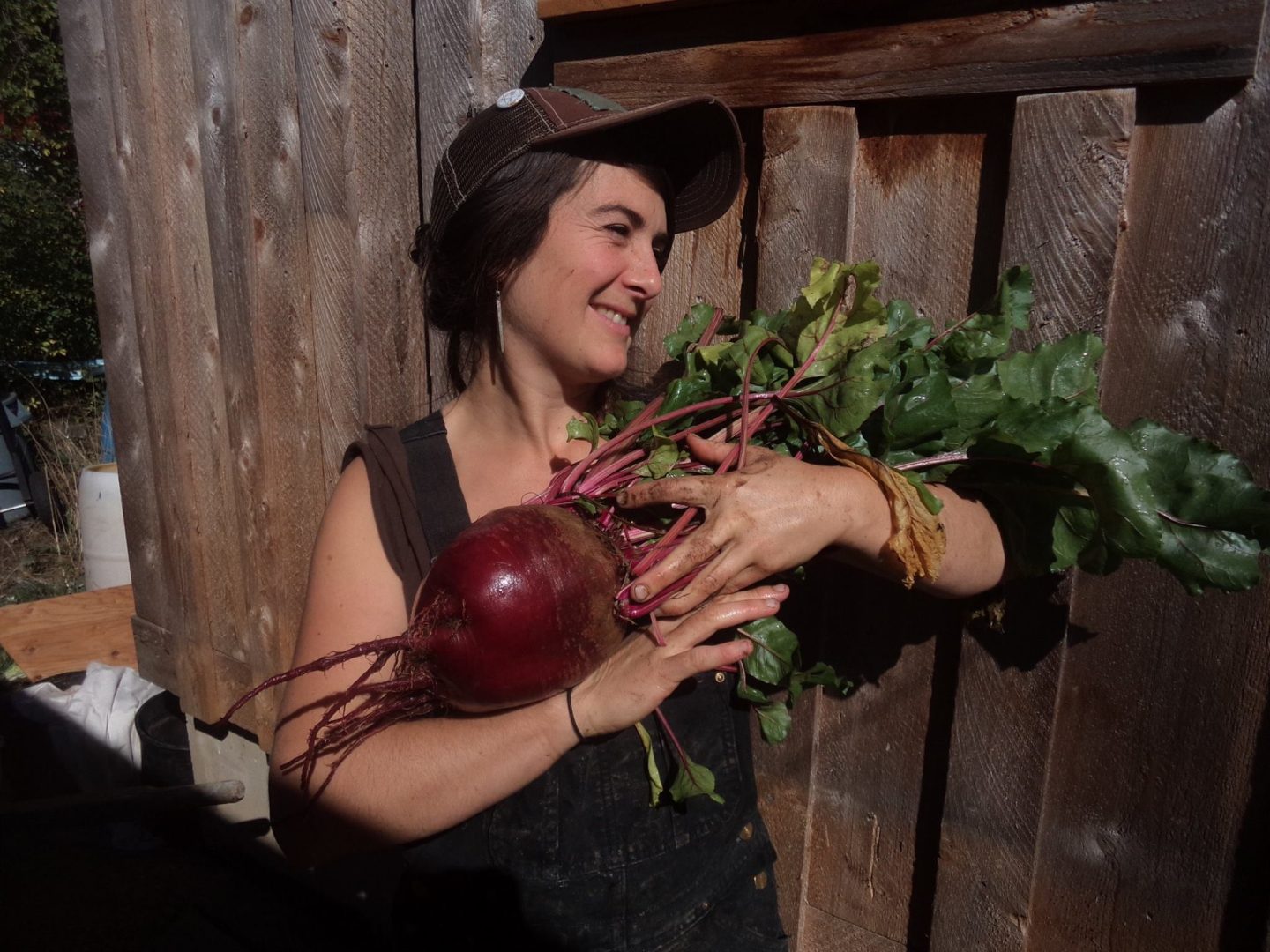 Denman Island: TreeEater Farm & Nursery 2015 Apprenticeship - Young ...