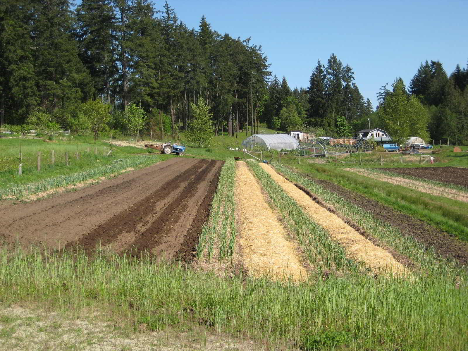 Business Mentorship Network - Emma Holmes, Duck Creek Farm - Young ...