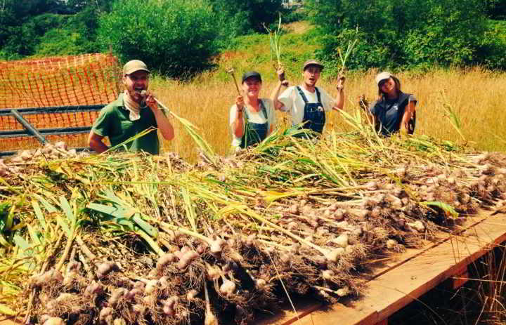 Providence Farm Internship - Duncan, BC - Young Agrarians
