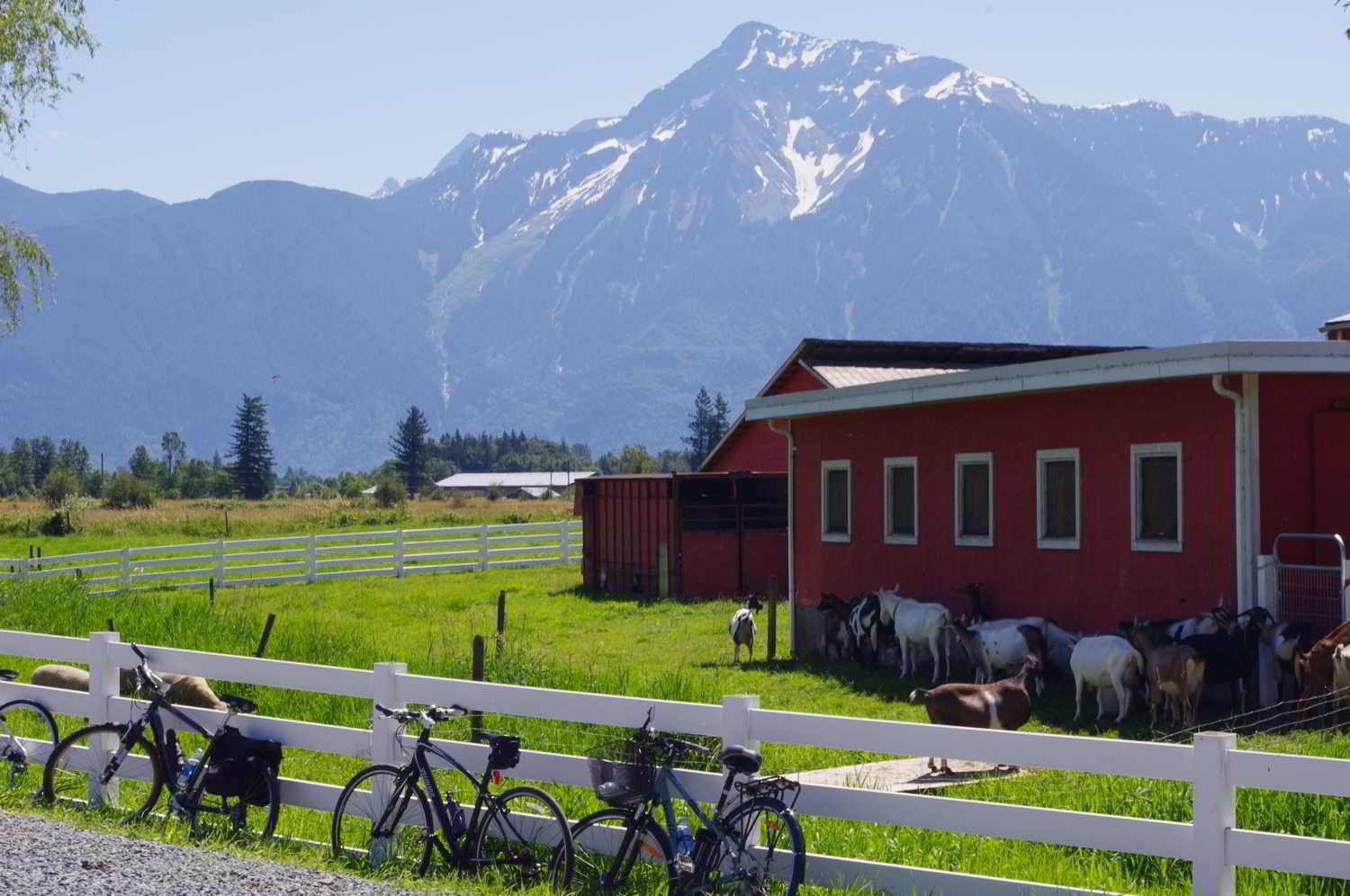 July 22: Agassiz, BC - Farms Cycle Tour - Young Agrarians