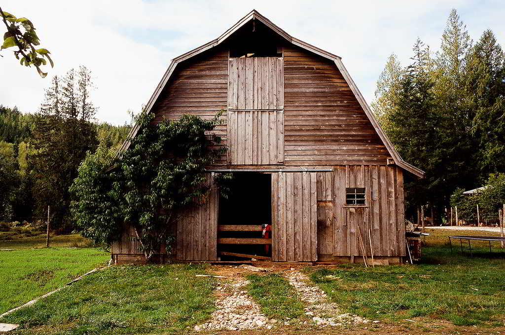 FARM SHARE: CORTES ISLAND, BC - Blue Jay Lake Farm