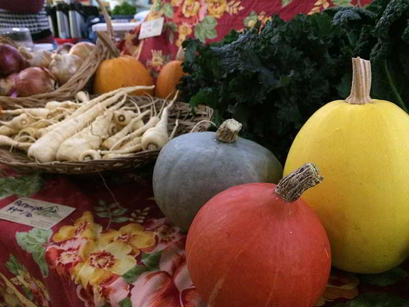 FARMSHARE: SAANICH, BC - Little Mountain Farm - Young Agrarians