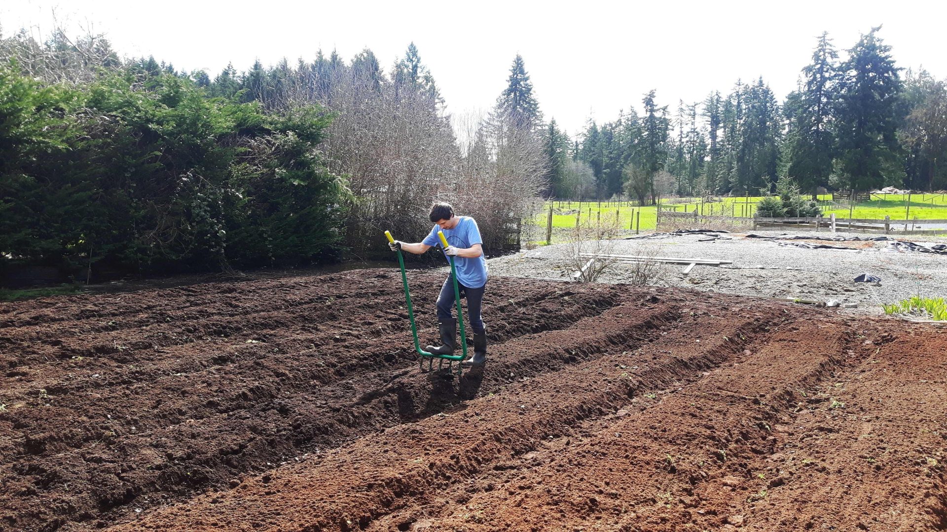 Lessons Learned: Dancing Dandelion Farms - Young Agrarians