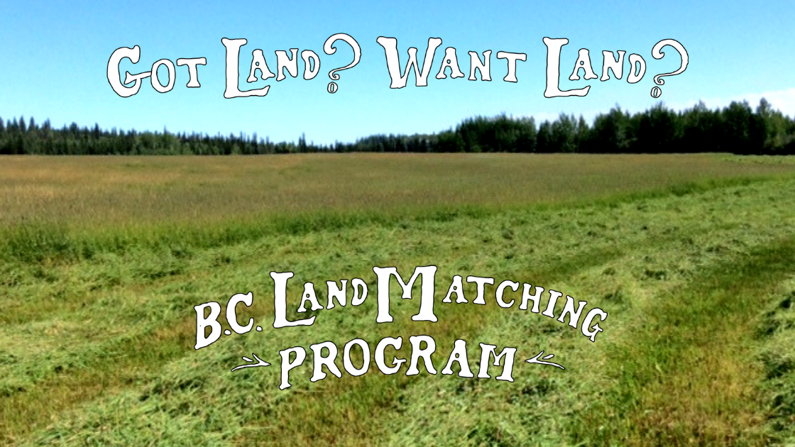 LAND OPPORTUNITY: Off-grid 1000 acre cattle ranch plus Crown rangeland ...