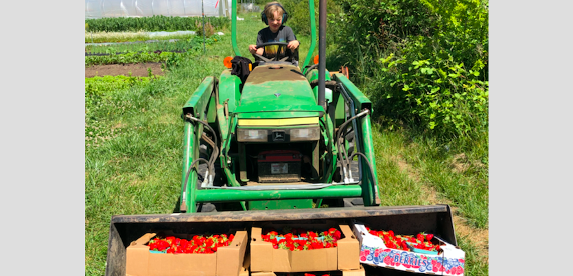 FARM JOB: SALT SPRING ISLAND, BC - Golden Tree Farm, Lead Farmer