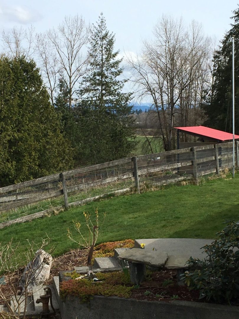 LAND OPPORTUNITY: Fenced & Cross-Fenced 5+ acre Property, Langley BC ...