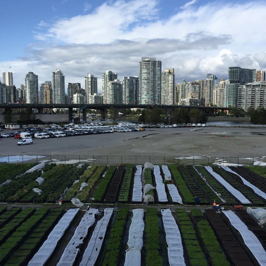How To Farm a Vacant Urban Lot - Young Agrarians