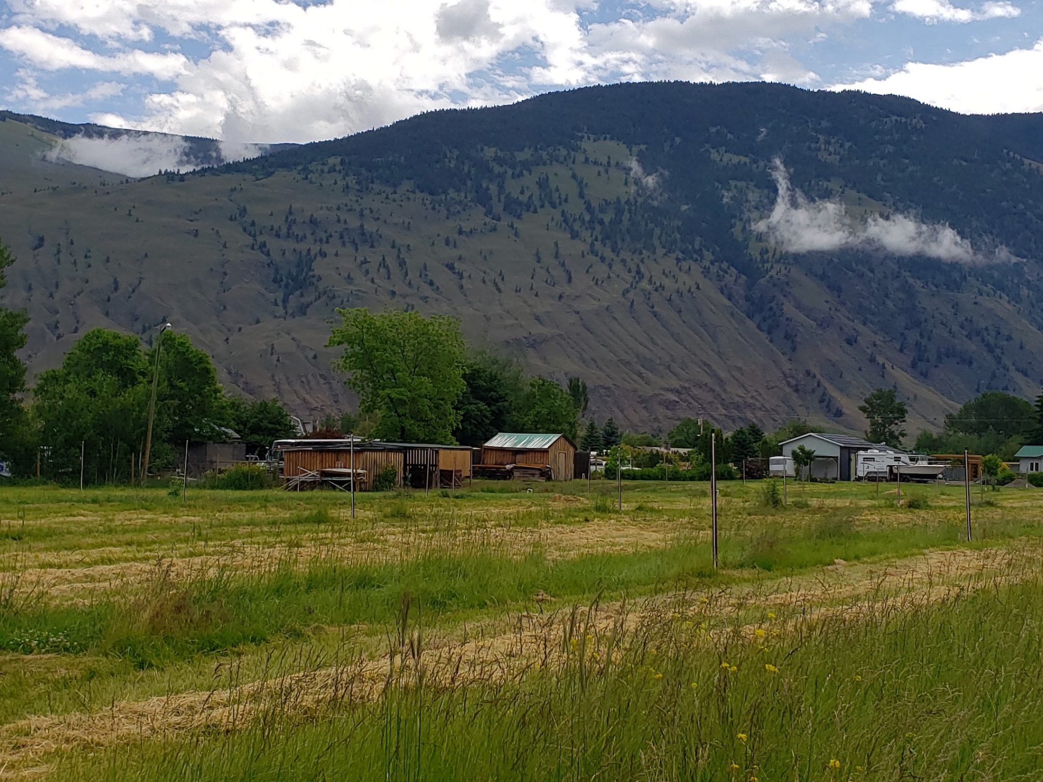 LAND OPPORTUNITY: 3 gorgeous acres in Cawston, BC - Young Agrarians