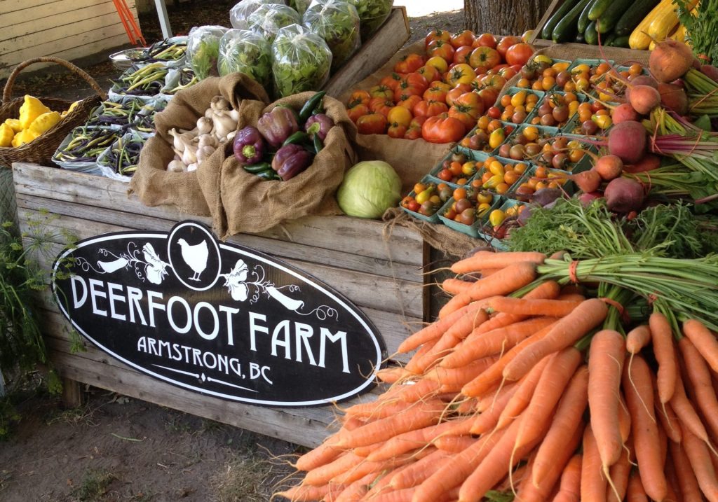 Customer Relationships During Farm Transition - Young Agrarians