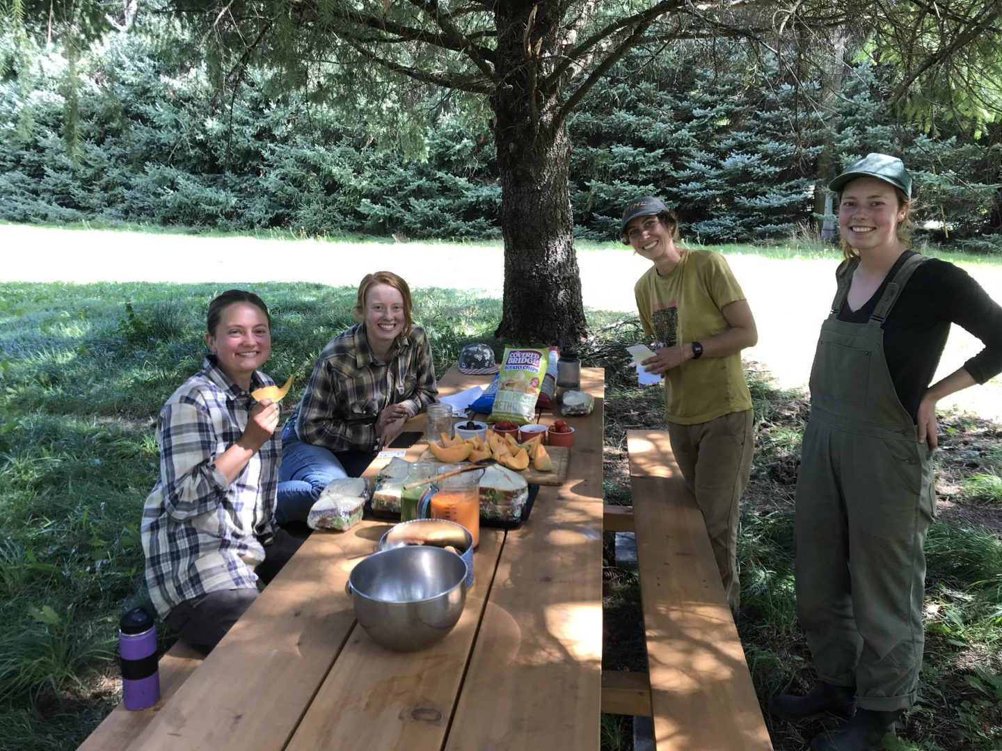 FARM JOB: PEMBERTON, BC - PLENTY WILD FARMS, FARM CREW - Young Agrarians