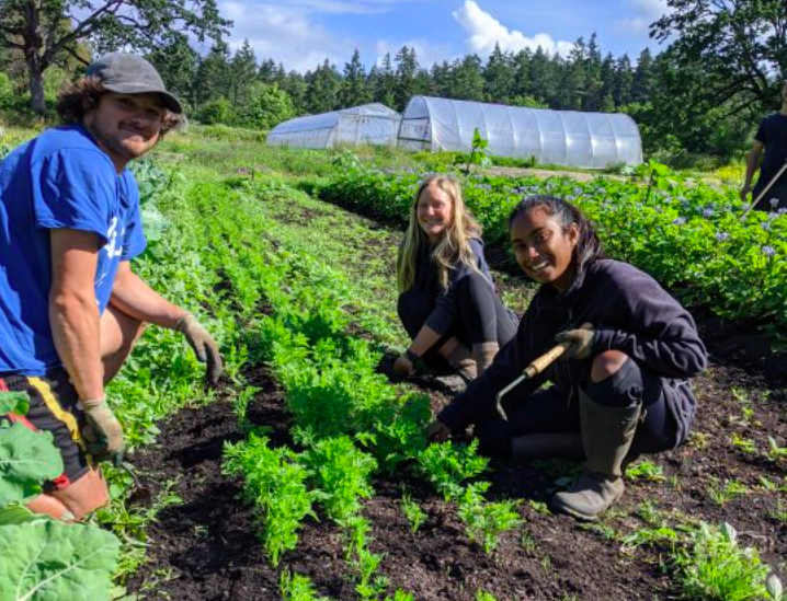 [FILLED] FARM JOB: VICTORIA , BC - Three Oaks Farm, Farm Manager