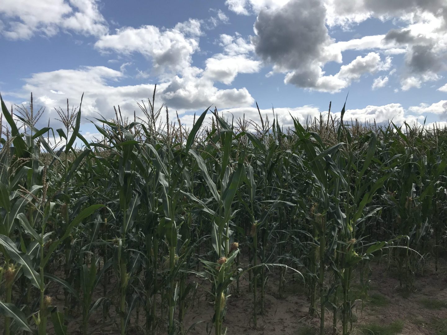 Garrett Ranch Tour - Young Agrarians