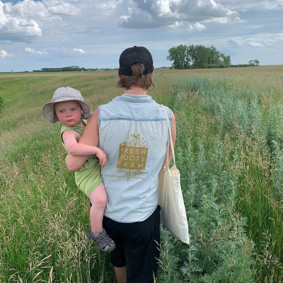 YA APPRENTICESHIP 2024: CARTWRIGHT, MB - FRESH ROOTS FARM - Young Agrarians