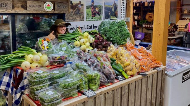 YA Apprenticeship 2026: Goodfare, AB – The Homestead - Young Agrarians