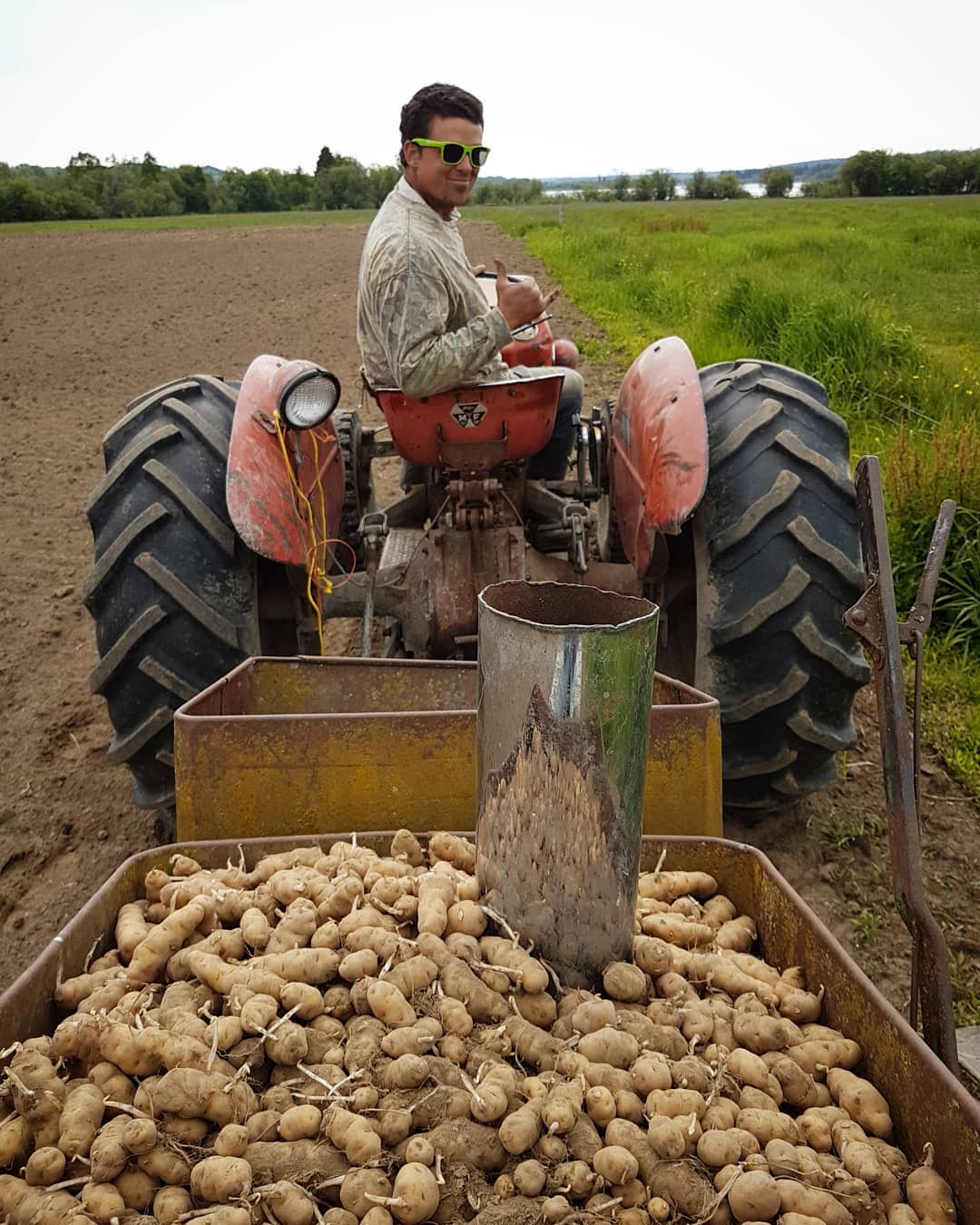 haida planting 2018 - Young Agrarians
