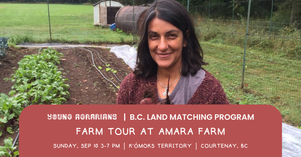 Young Agrarians - Growing the next generation of farmers and food ...
