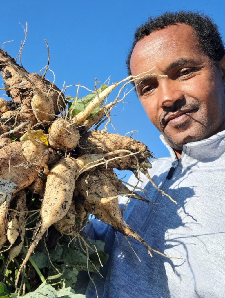 Meet the Ethiopian Farmer growing Anchote in Edmonton - Young Agrarians
