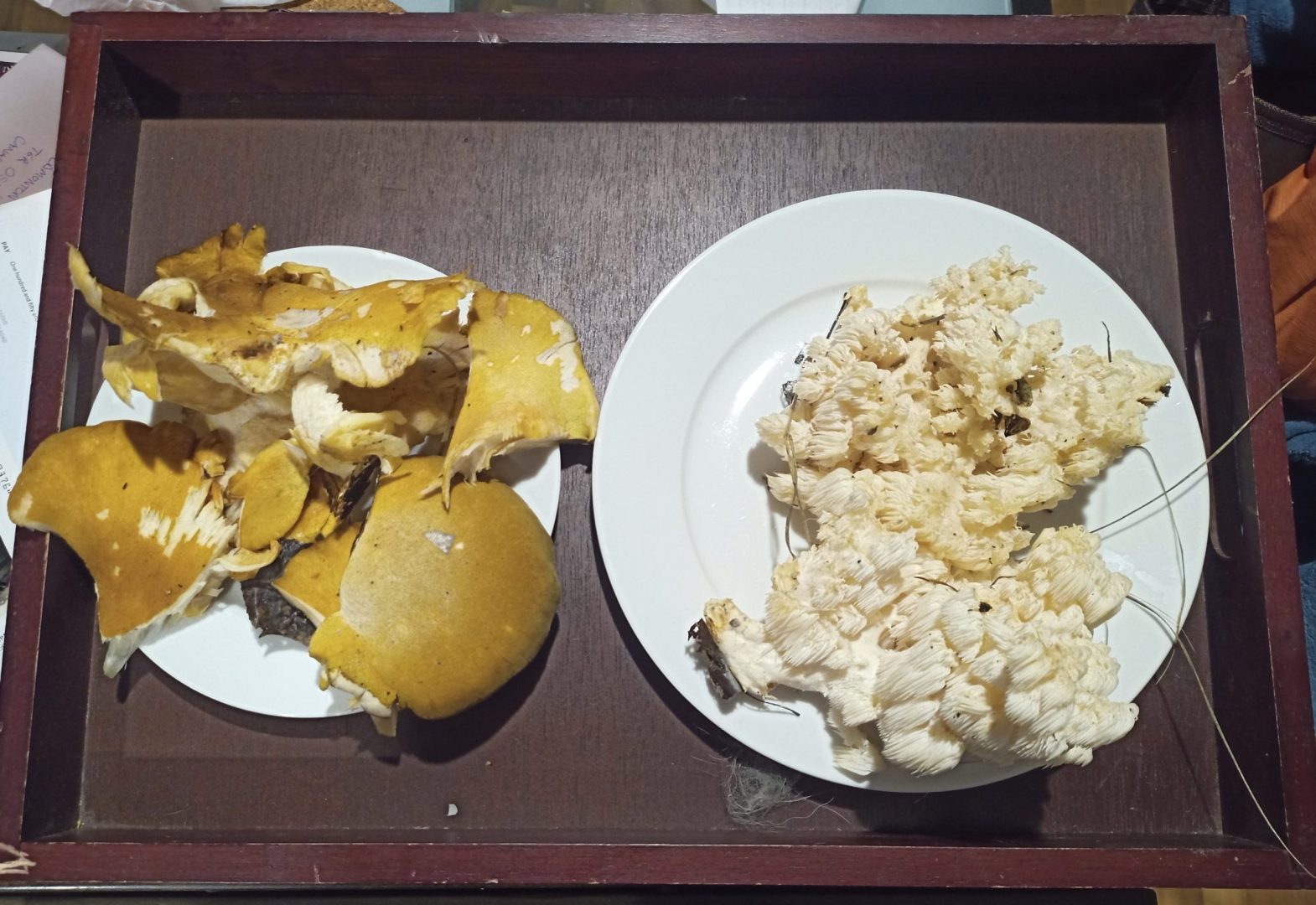 Anton Goulko and Dorothy Penner - Ural Farms - 2023 BMN AB Mentees ...