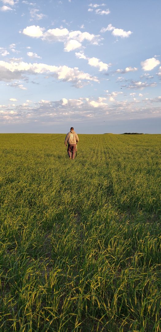 YA APPRENTICESHIP 2023: MINTON, SK – AXTEN FARMS