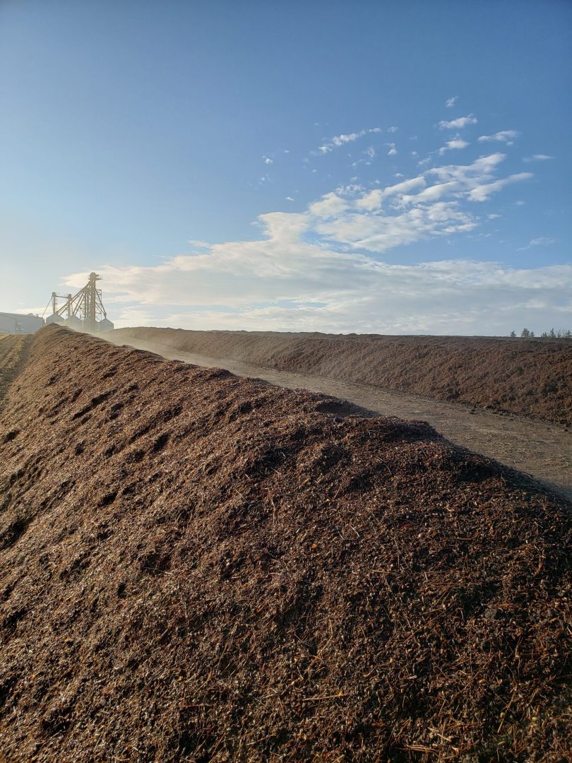YA APPRENTICESHIP 2023: MINTON, SK – AXTEN FARMS