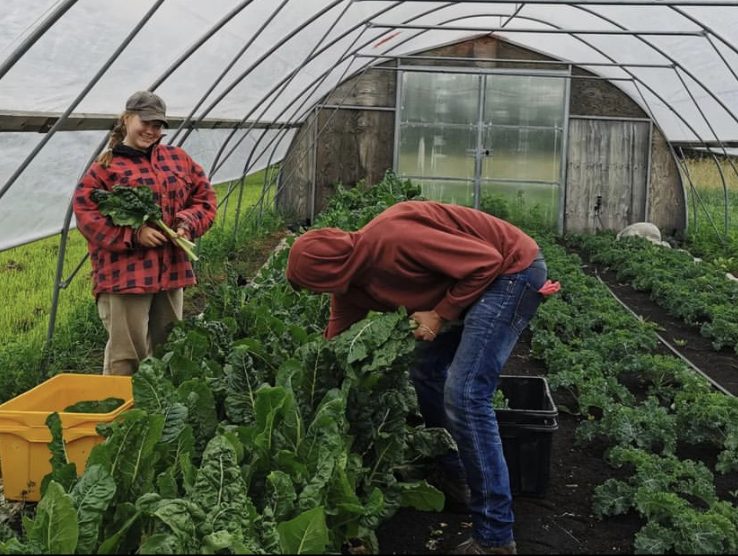 Meet Tishawni Ellery of Sundog Organic Farm! - Young Agrarians