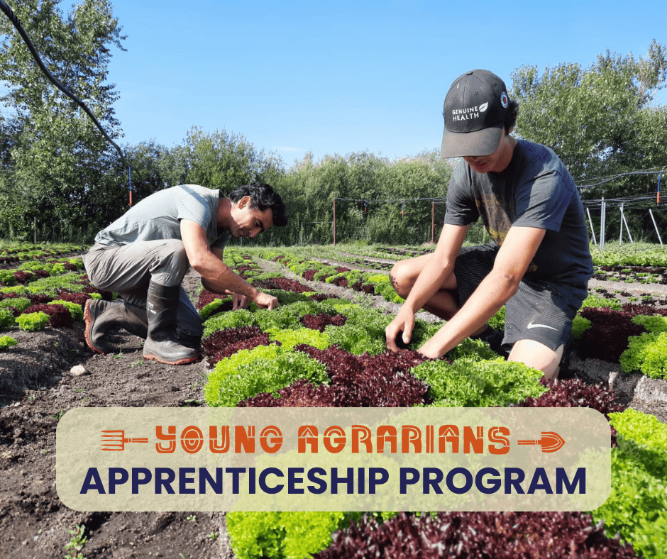 YA Apprenticeship 2025: Oliver, BC - Amazia Farm - Young Agrarians