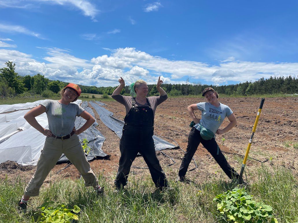 FARM JOB: Gore Bay, ON - Three Forks Farms Manitoulin, Farm Crew & Crew ...