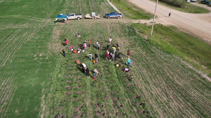 FARM JOB: Blaine Lake, SK - Muskeg Lake Cree Nation, 2 Billion Trees ...