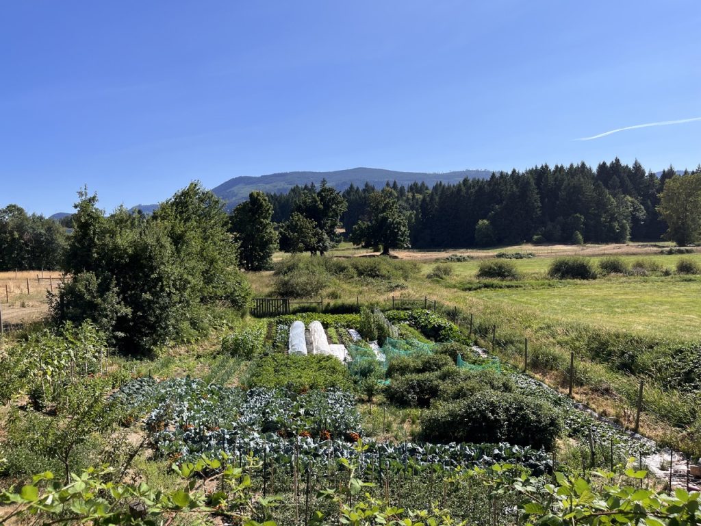 Meet Brian Tattam of Tattam Valley Farms! - Young Agrarians