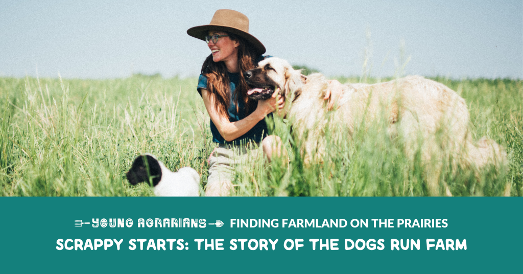 Scrappy Starts: The Story of The Dogs Run Farm - Young Agrarians