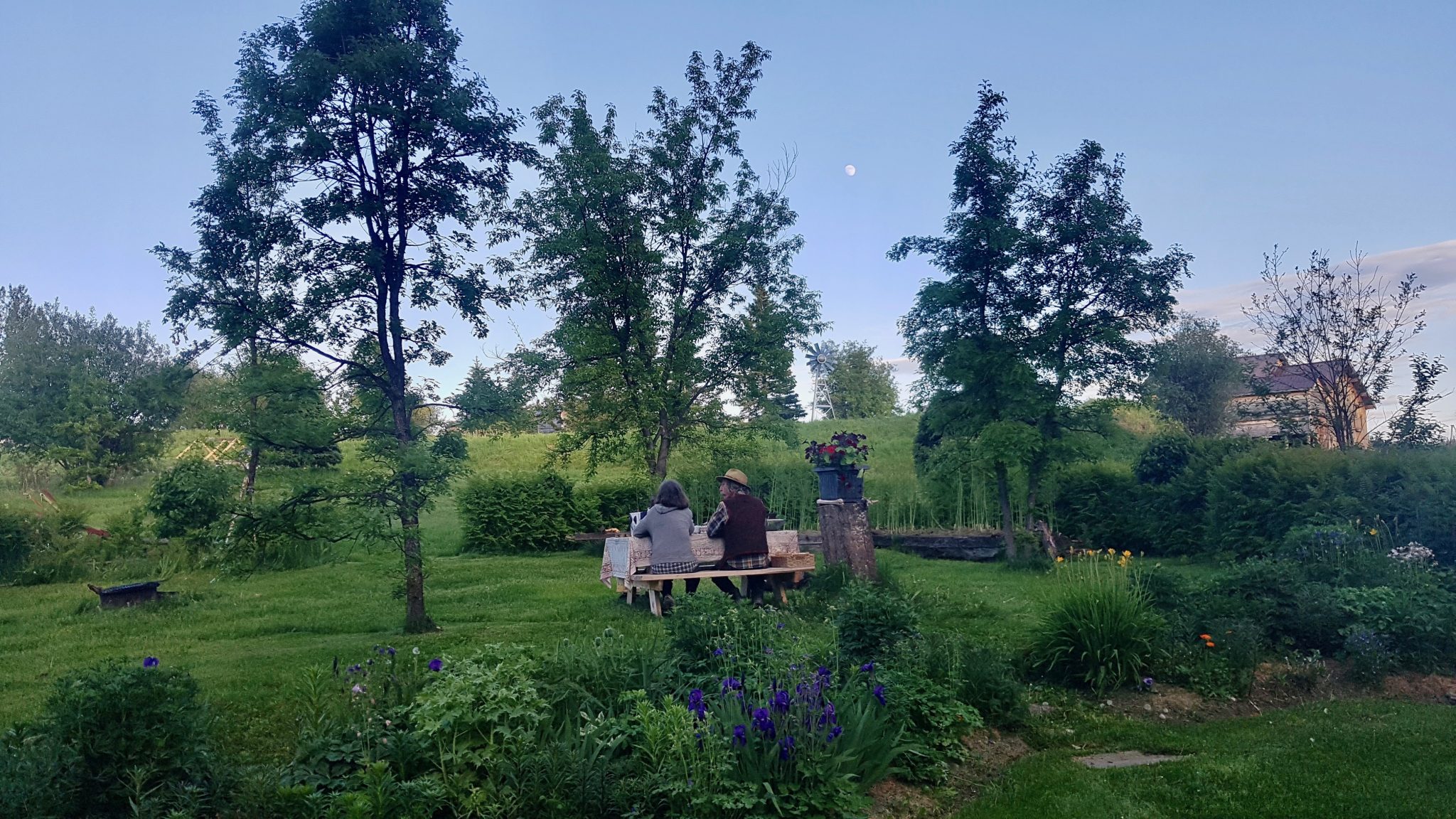 LAND ACCESS STORIES: Wildwood Farm - Pouce Coupe, BC - Young Agrarians