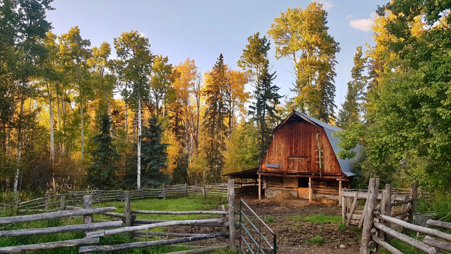 LAND ACCESS STORIES: Wildwood Farm - Pouce Coupe, BC - Young Agrarians