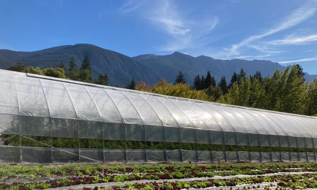 YA Apprenticeship 2025: Creston, BC - Cartwheel Farm - Young Agrarians