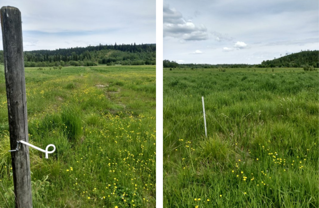 LAND OPPORTUNITY: 320 acres of excellent grazing near Tabor Lake ...