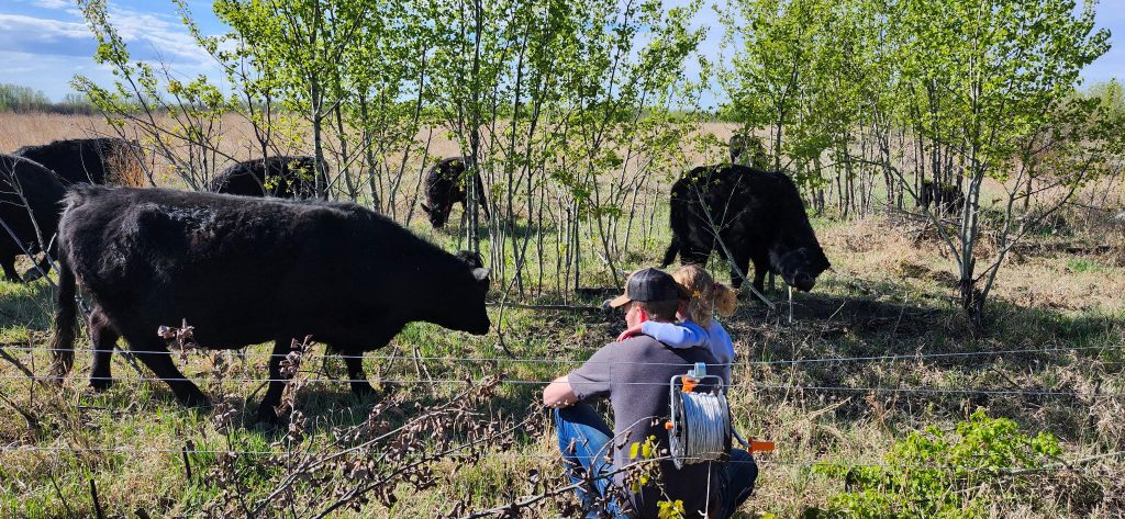 Brendan and Heather Dickson - Footfall - BMN AB Mentees 2025 - Cattle ...