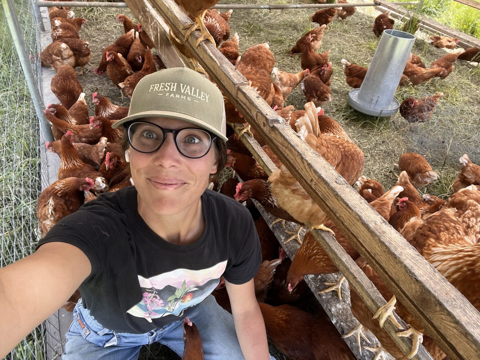 FARM JOB: Armstrong , BC - Fresh Valley Farms, Regenerative Livestock ...
