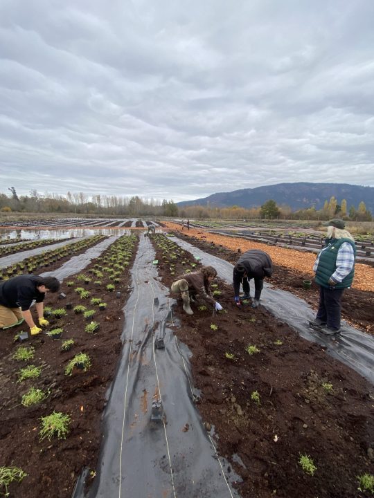 2026 Quw’utsun Estuary 4 - Young Agrarians