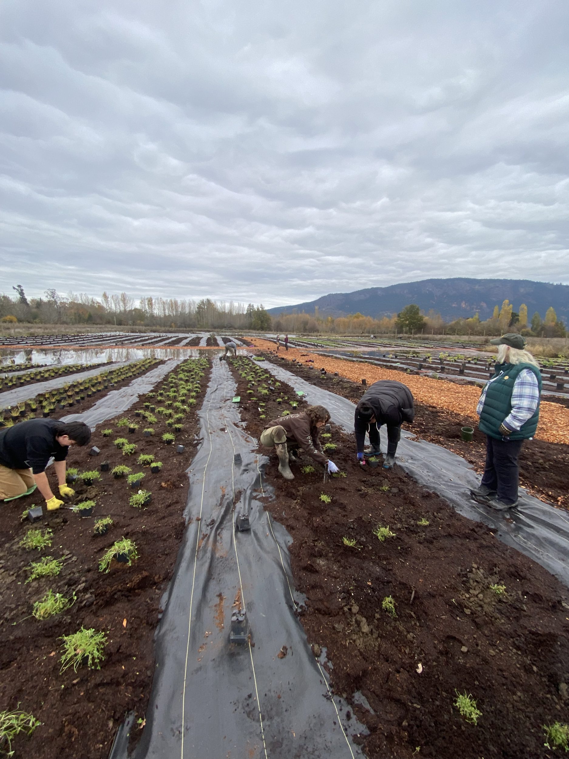 2026 Quw’utsun Estuary 4 - Young Agrarians