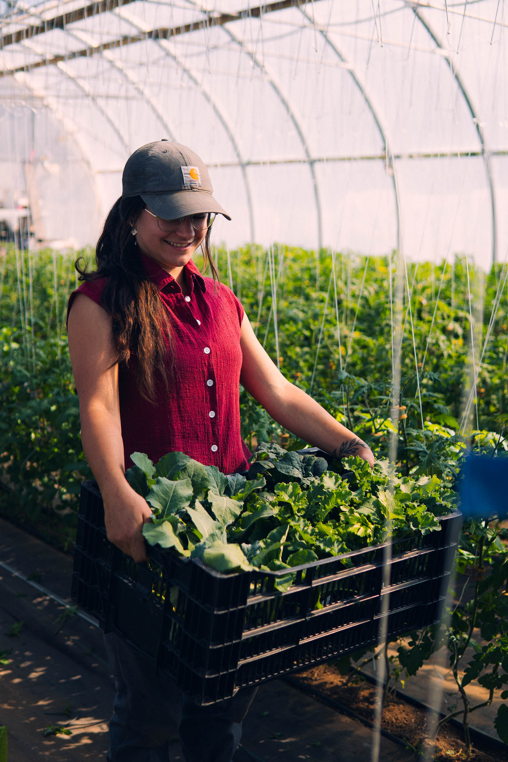 FARM JOB: Nelson, BC - Linden Lane Farms, Greenhouse Manager - Young ...