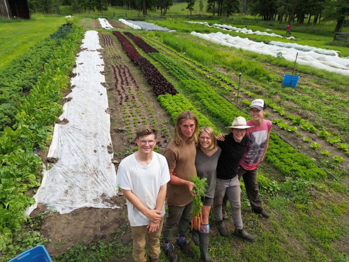 Young Agrarians - Growing the next generation of farmers and food ...