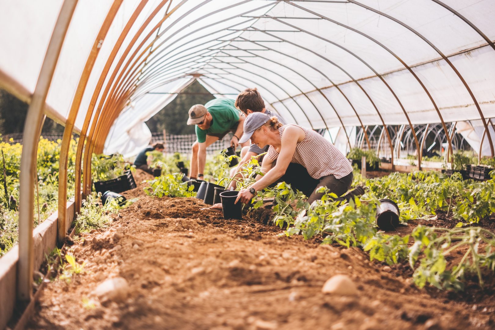FARM JOB: Surrey, BC - A Rocha Farm, CSA Assistant