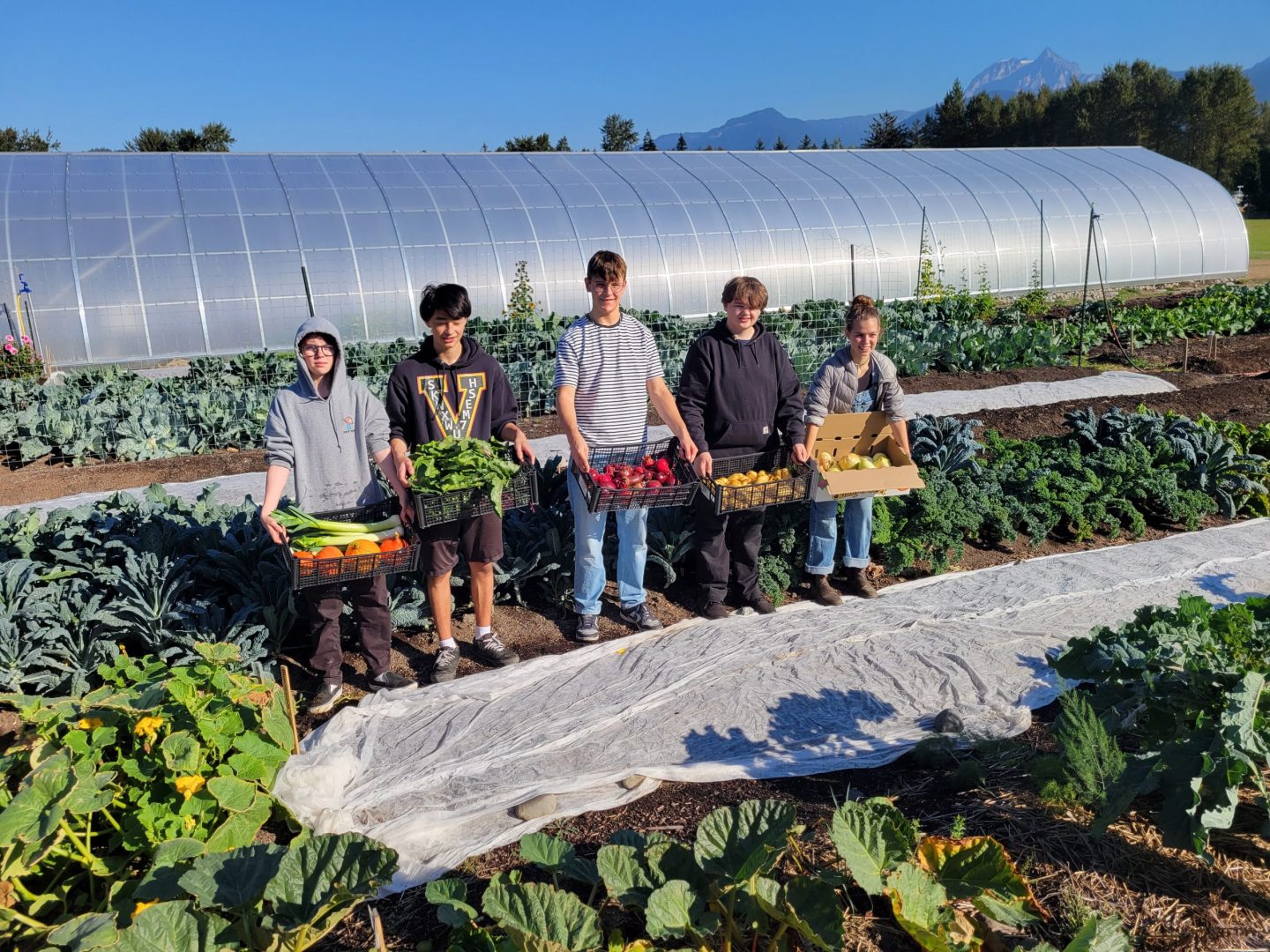 Downtown-Squamish-School-Farm-5 - Young Agrarians