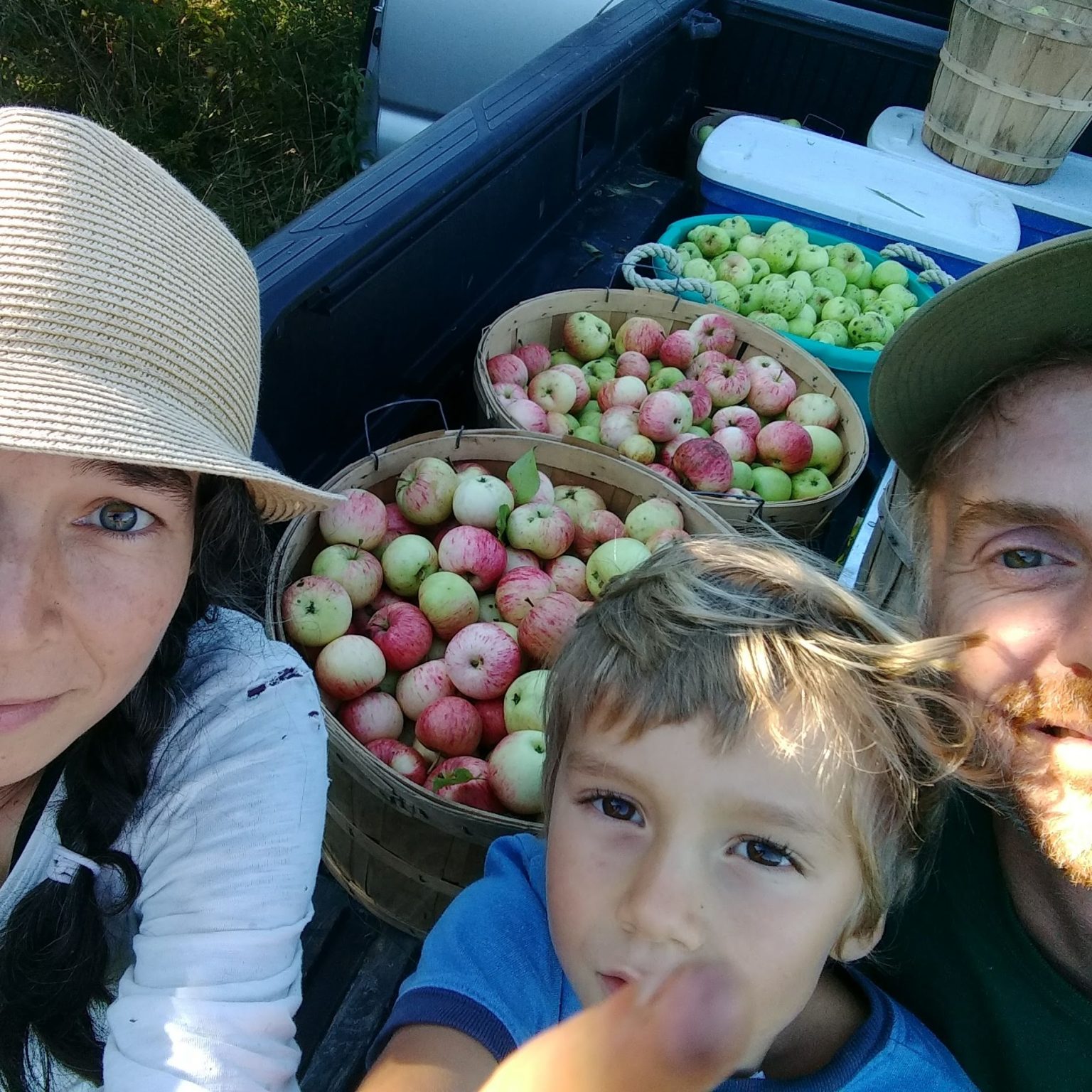 FILLED - FARM JOB: Wakefield, Quebec - Ferme et Foret, Ecological Farm ...