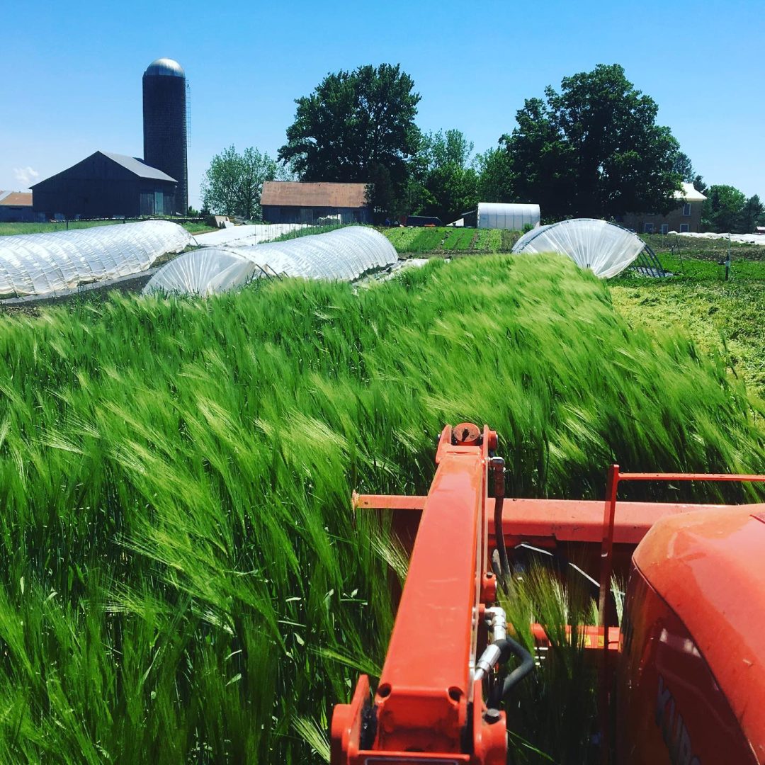 FARM JOB: Belgrave, ON - Firmly Rooted, Multiple Positions