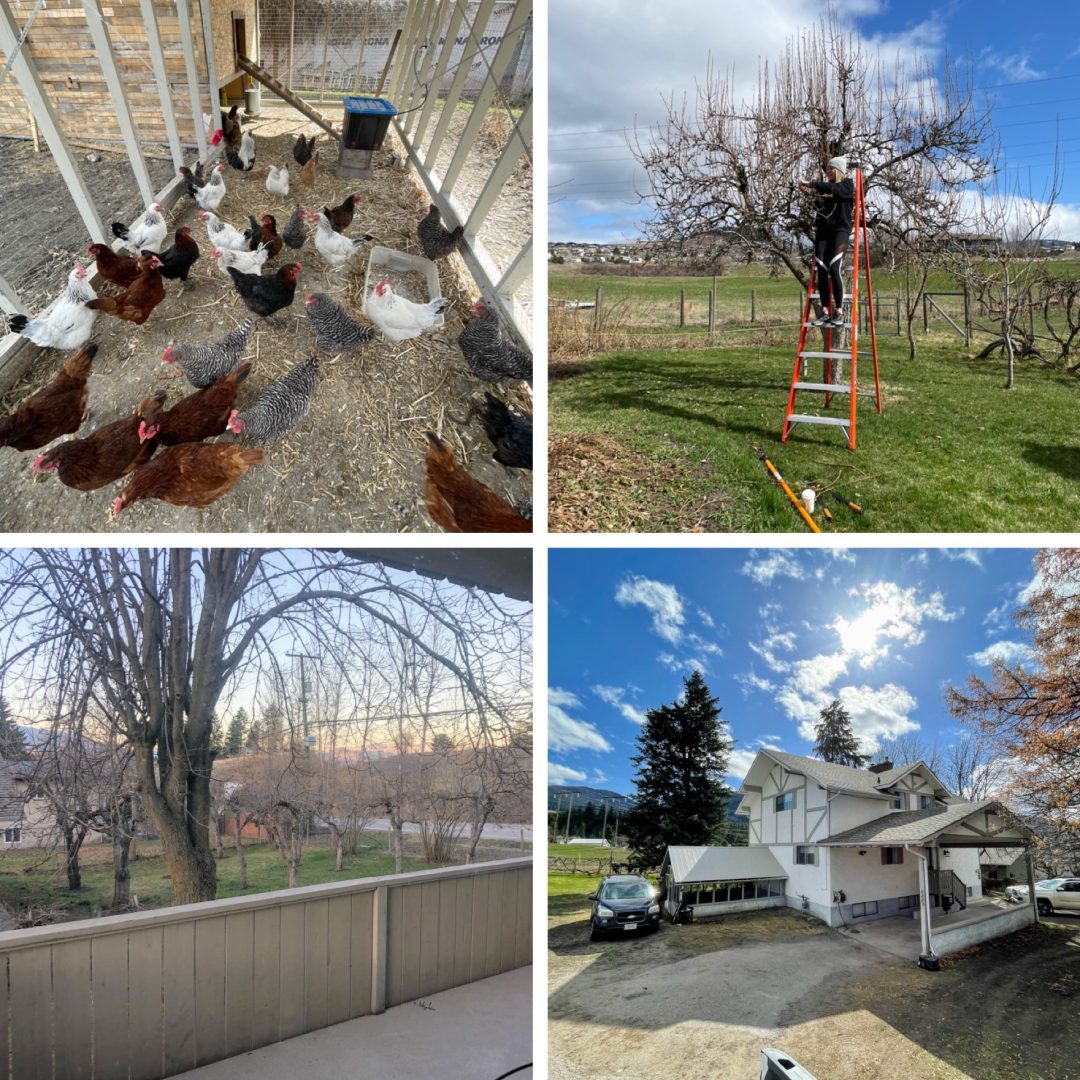 FARM JOB: Vernon, BC - Farm Helper - Young Agrarians