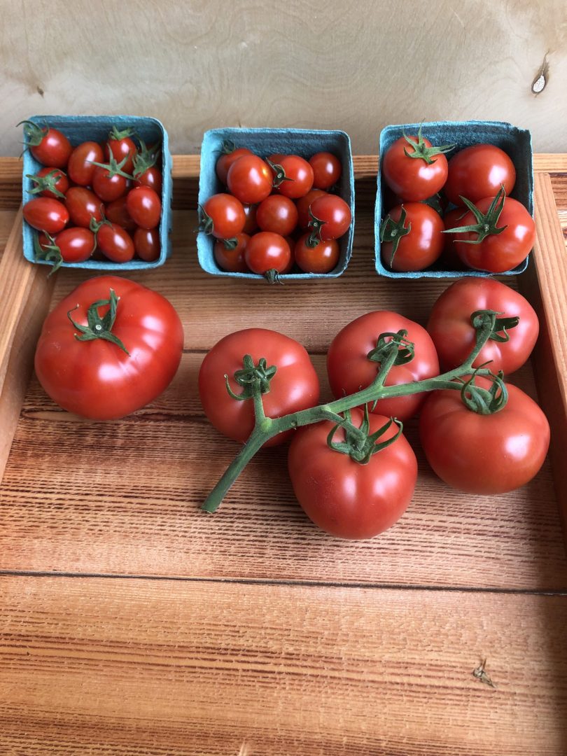 Little-Mountain-Farm- Young Agrarians