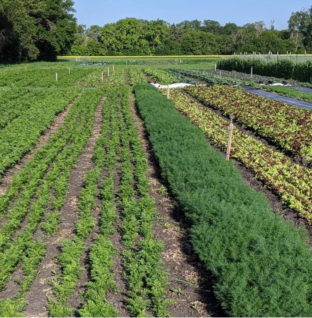 Natural-Collective-CSA - Young Agrarians