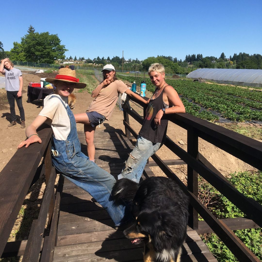 FARM JOB: Saanichton, BC - Northbrook Farm, Full Time Farm Hand